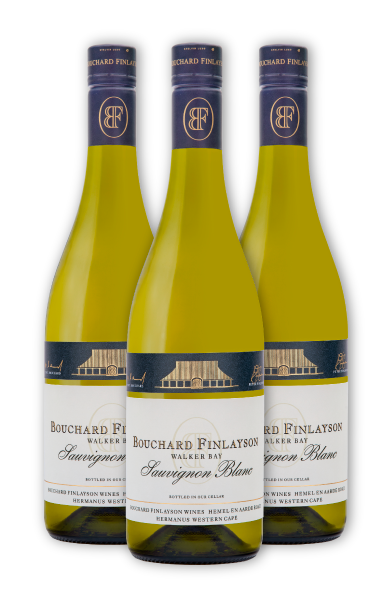 Bouchard Finlayson – Online Wine Shop